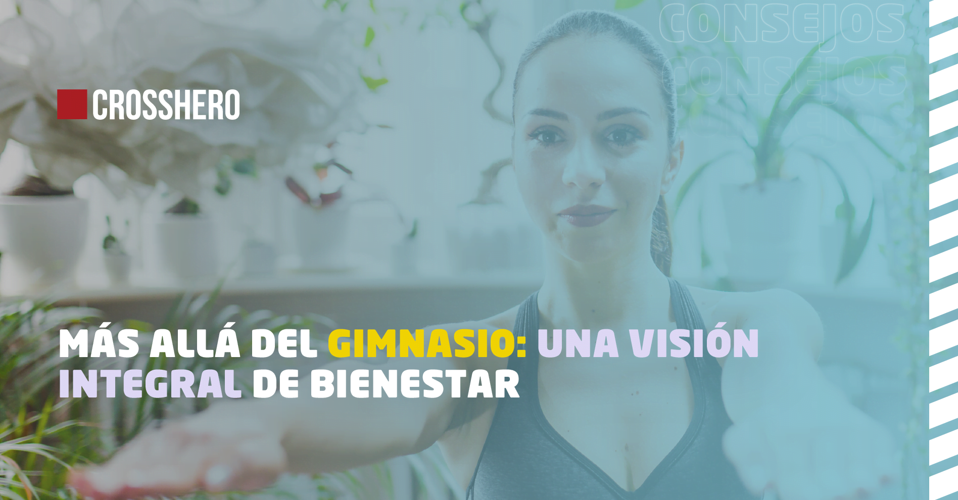 Visión integral del bienestar - CrossHero